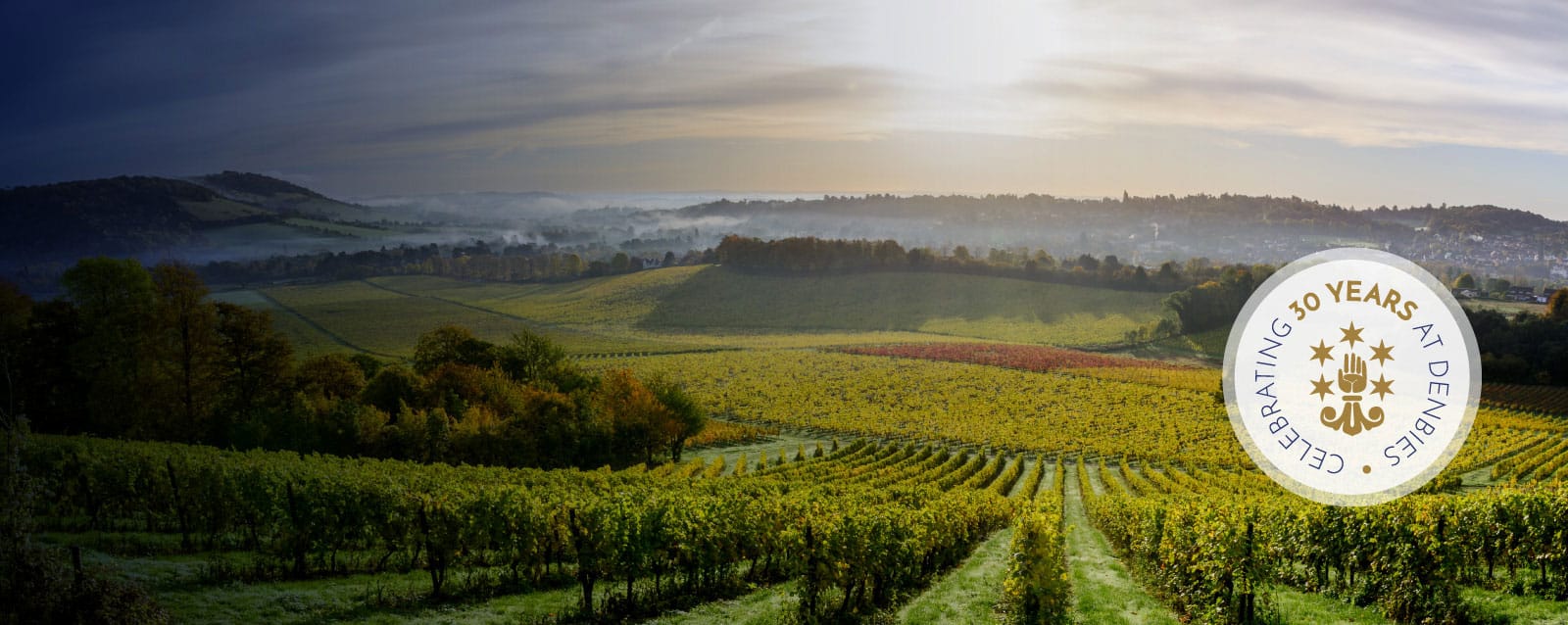 Finding Us | Denbies Wine Estate