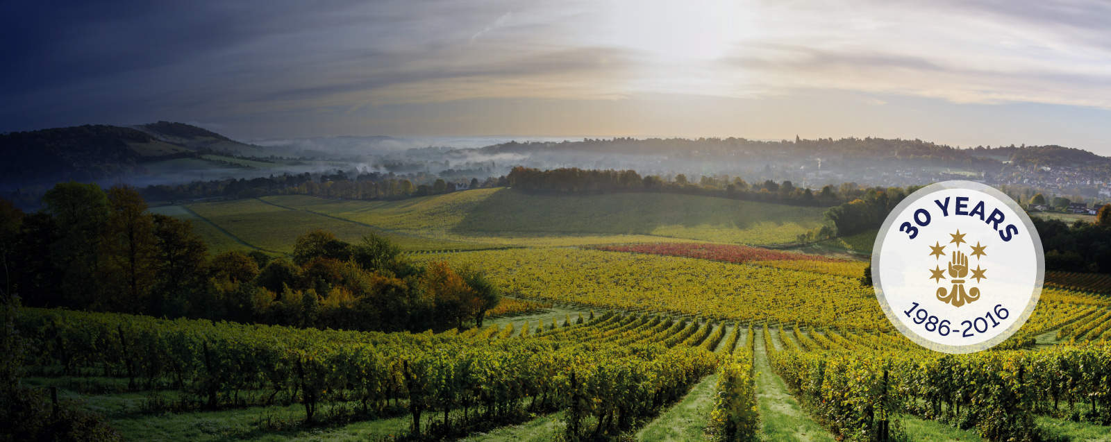 Denbies | Denbies Wine Estate & Event Venue