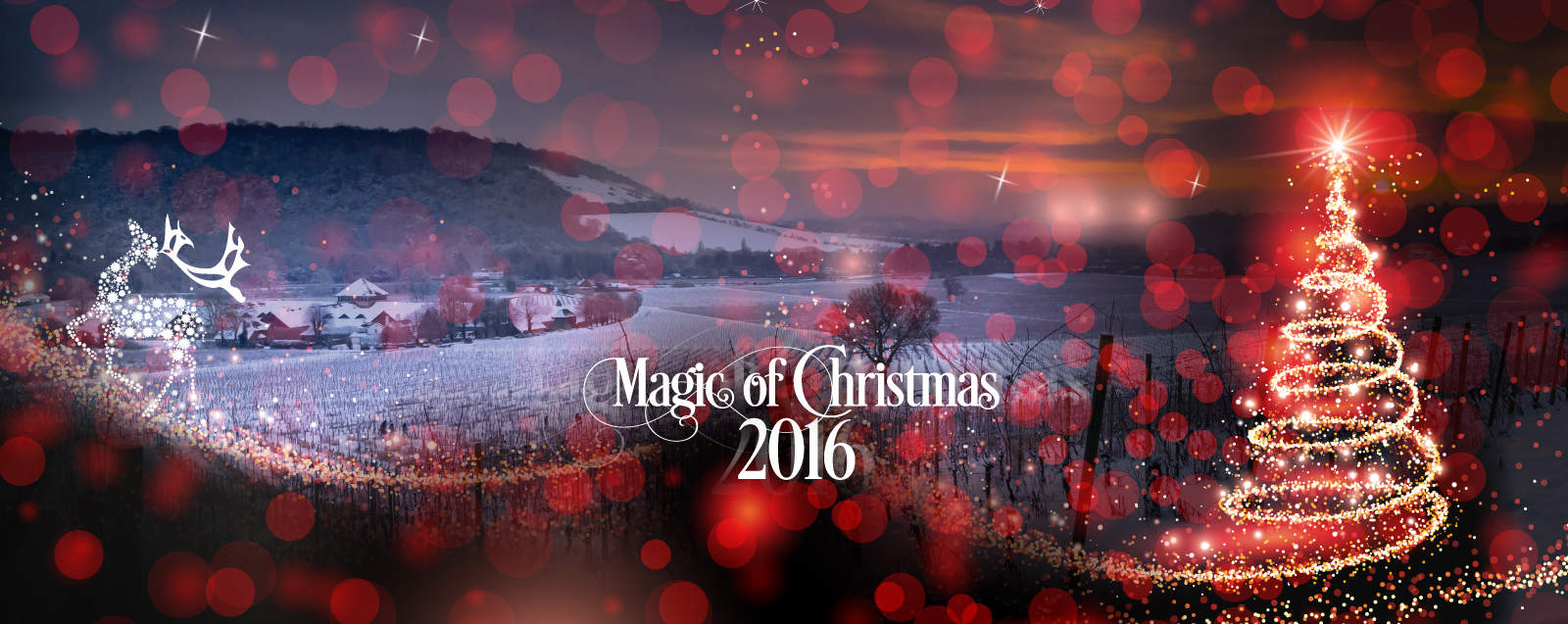 Denbies | Denbies Wine Estate & Event Venue