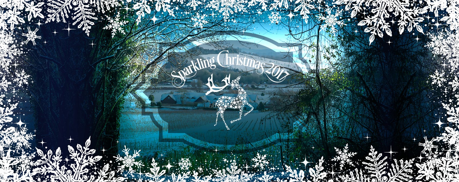 Christmas Events & Christmas Parties | Denbies Wine Estate