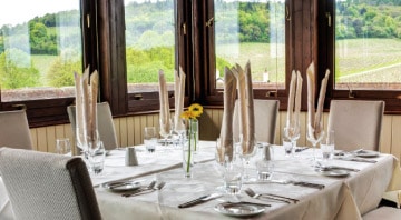 Visit Us | Denbies Wine Estate